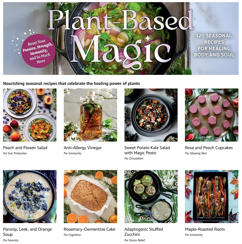 Plant-Based Magic Exclusive Preorder Bonus Recipes | The Experiment